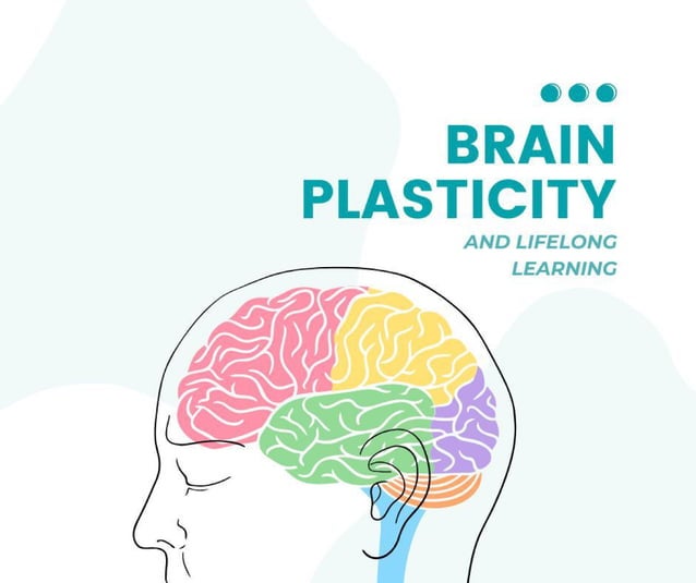 Lifelong learning taps into brain plasticity | PDF | Science