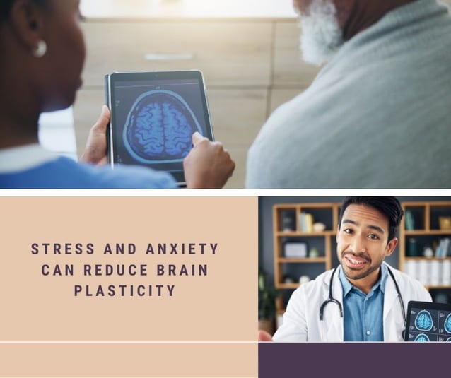 Stress and anxiety can reduce brain plasticity by disrupting neural ...