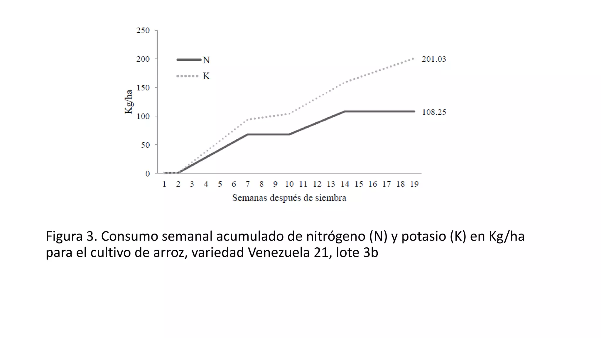 Curva de absorción de nutrientes en arroz | PPTX