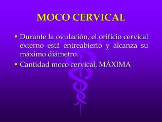 Curva térmica y filancia del moco | PPTX