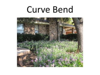 Curve bend | PPT