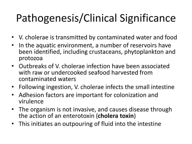 Curved GNR, Pseudomonas & Bordetella | PPT