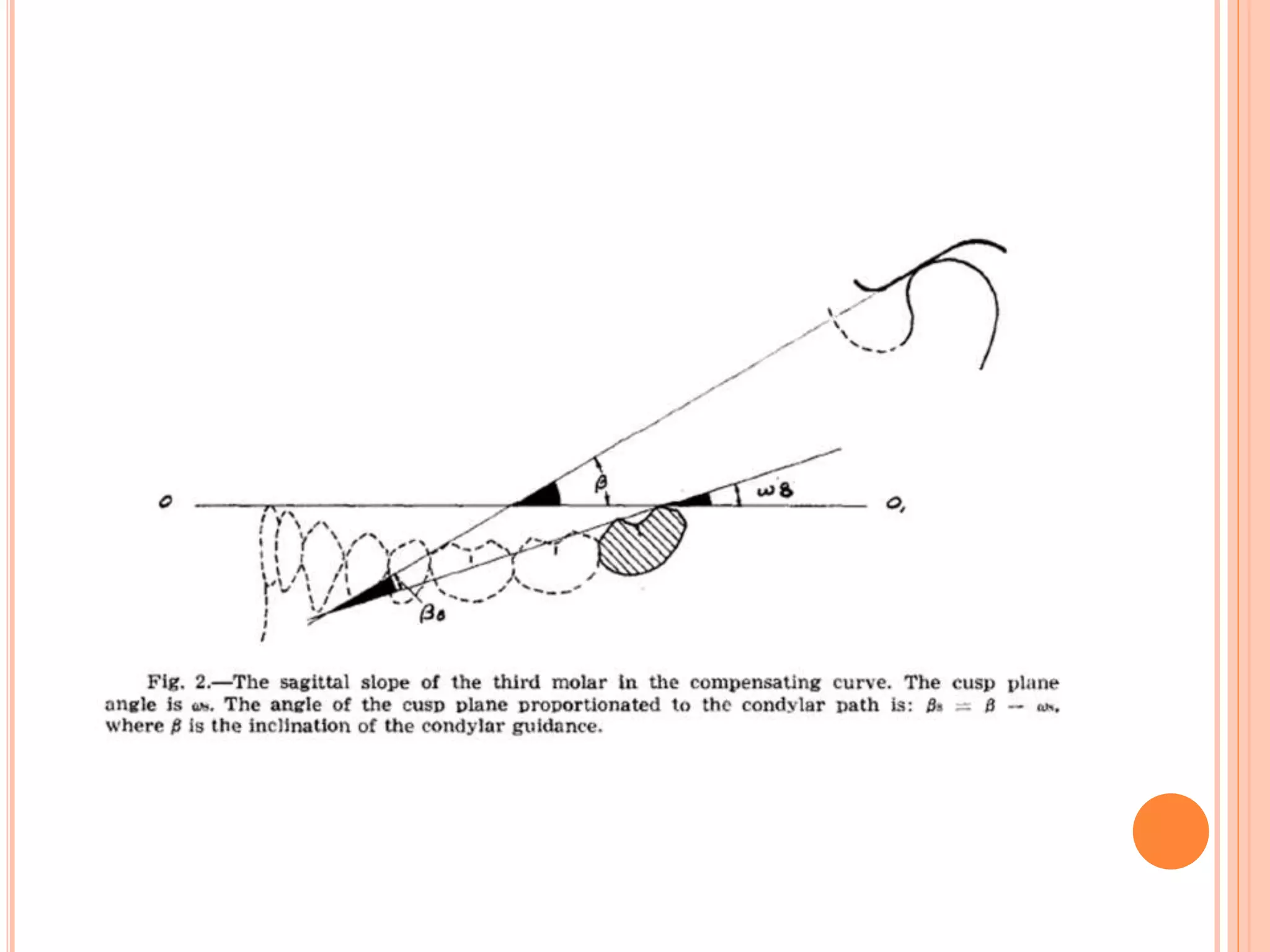 Compensating Curves in Prosthodontics | PPTX