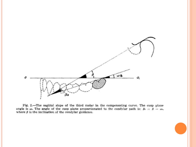 Compensating Curves in Prosthodontics | PPTX