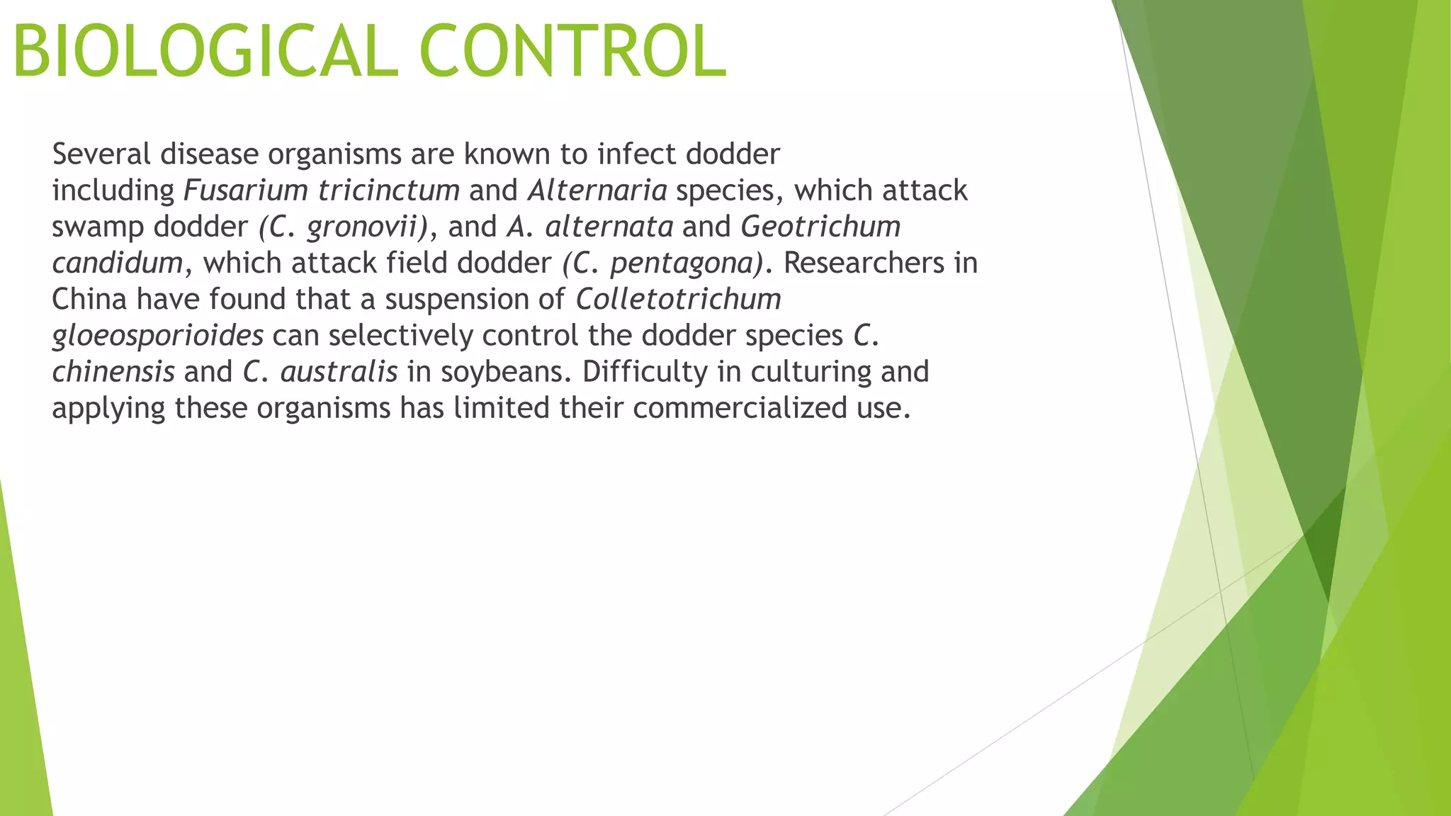 Cuscuta & its management | PPTX