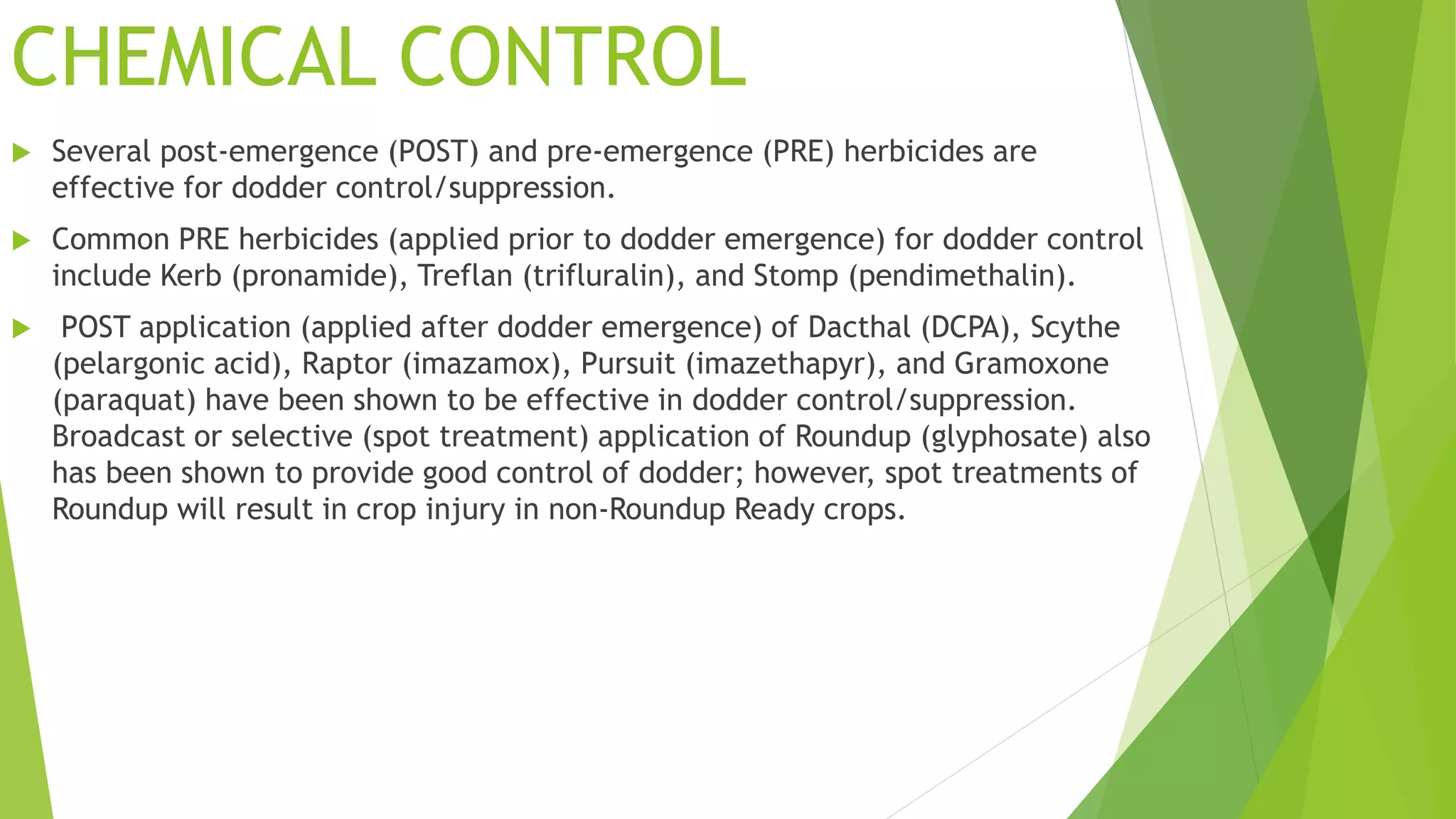 Cuscuta & its management | PPTX