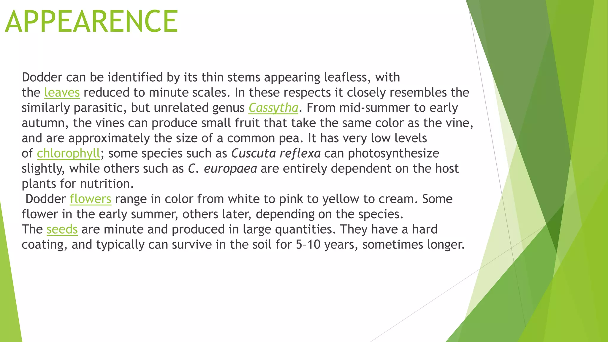 Cuscuta & its management | PPTX