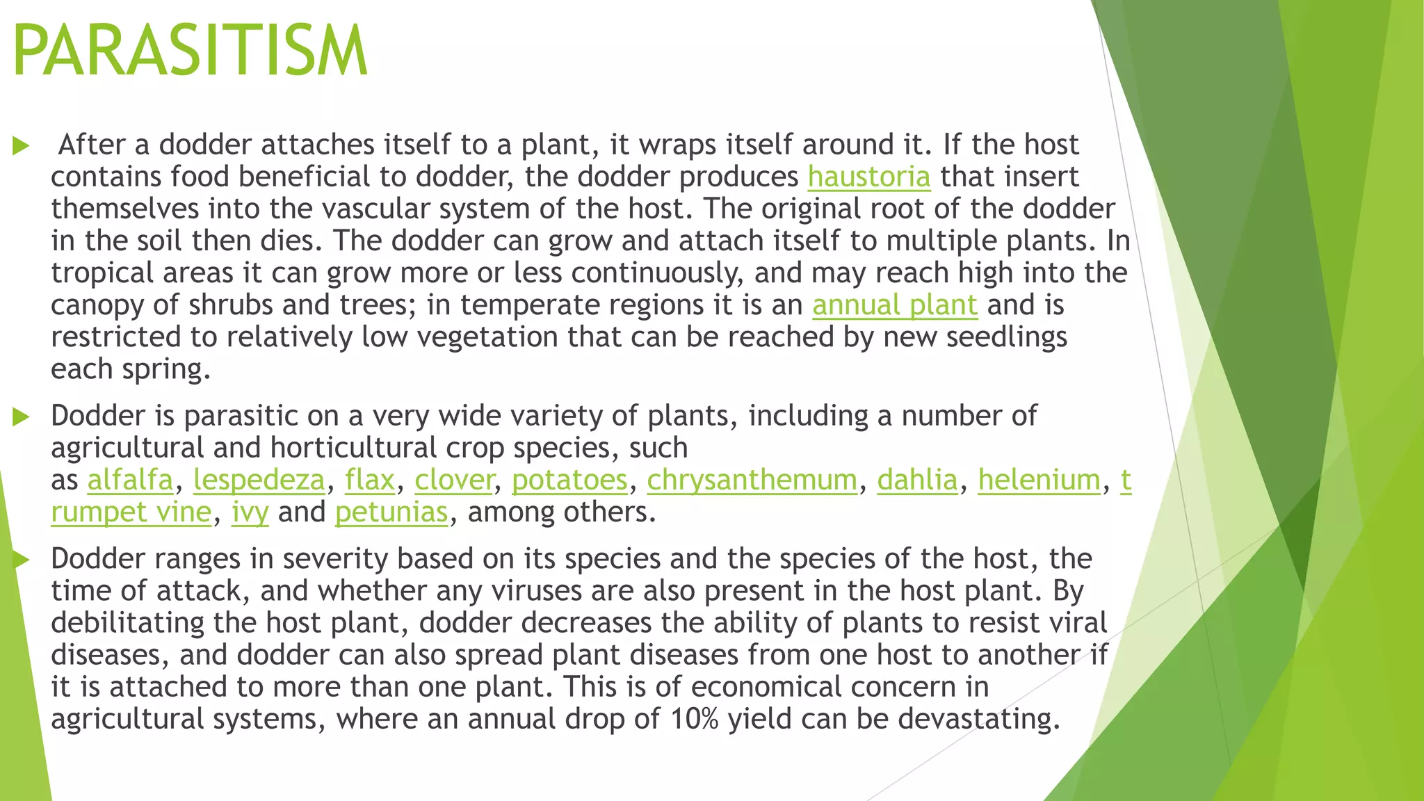 Cuscuta & its management | PPTX