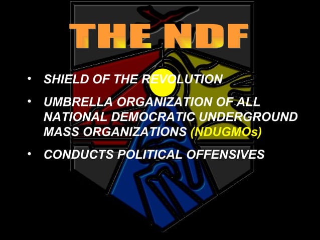 students presentation itroduction to cpp npa ndf | PPT | Business | Business and Finance