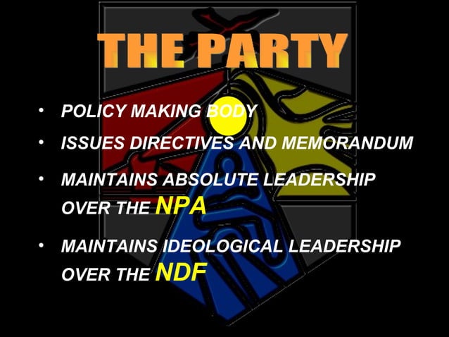 students presentation itroduction to cpp npa ndf | PPT | Business | Business and Finance