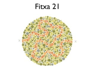 C:\Users\Administrador\Desktop\Fitxes Ishihara | PPT