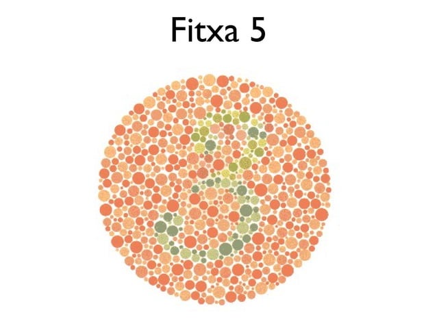 C:\Users\Administrador\Desktop\Fitxes Ishihara | PPT