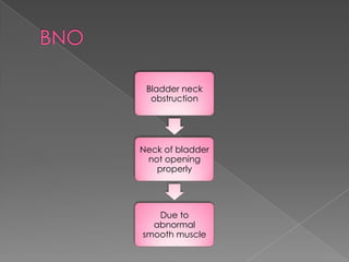 C:\Users\Amanda\Desktop\Powerpoint 2 | PPT