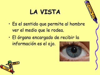 Presentación power point "Los 5 sentidos" | PPT