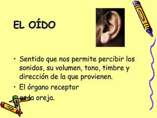 Presentación power point "Los 5 sentidos" | PPT