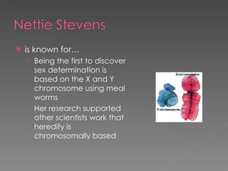 Introduction/Presentation | PPT