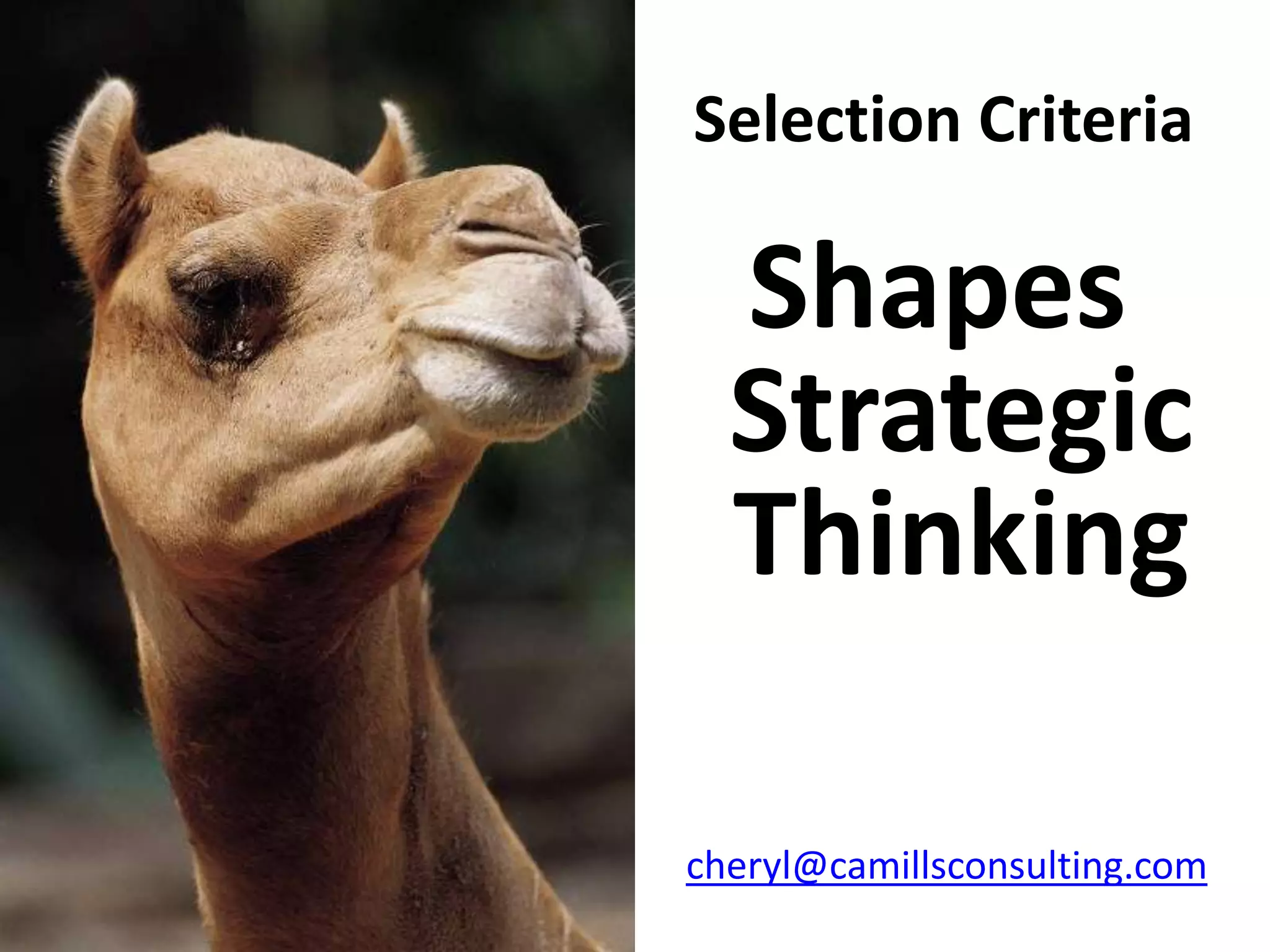 Shapes Strategic Thinking - Selection Criteria | PPTX
