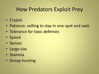 Predator/Prey Interactions | PPTX
