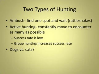 Predator/Prey Interactions | PPTX