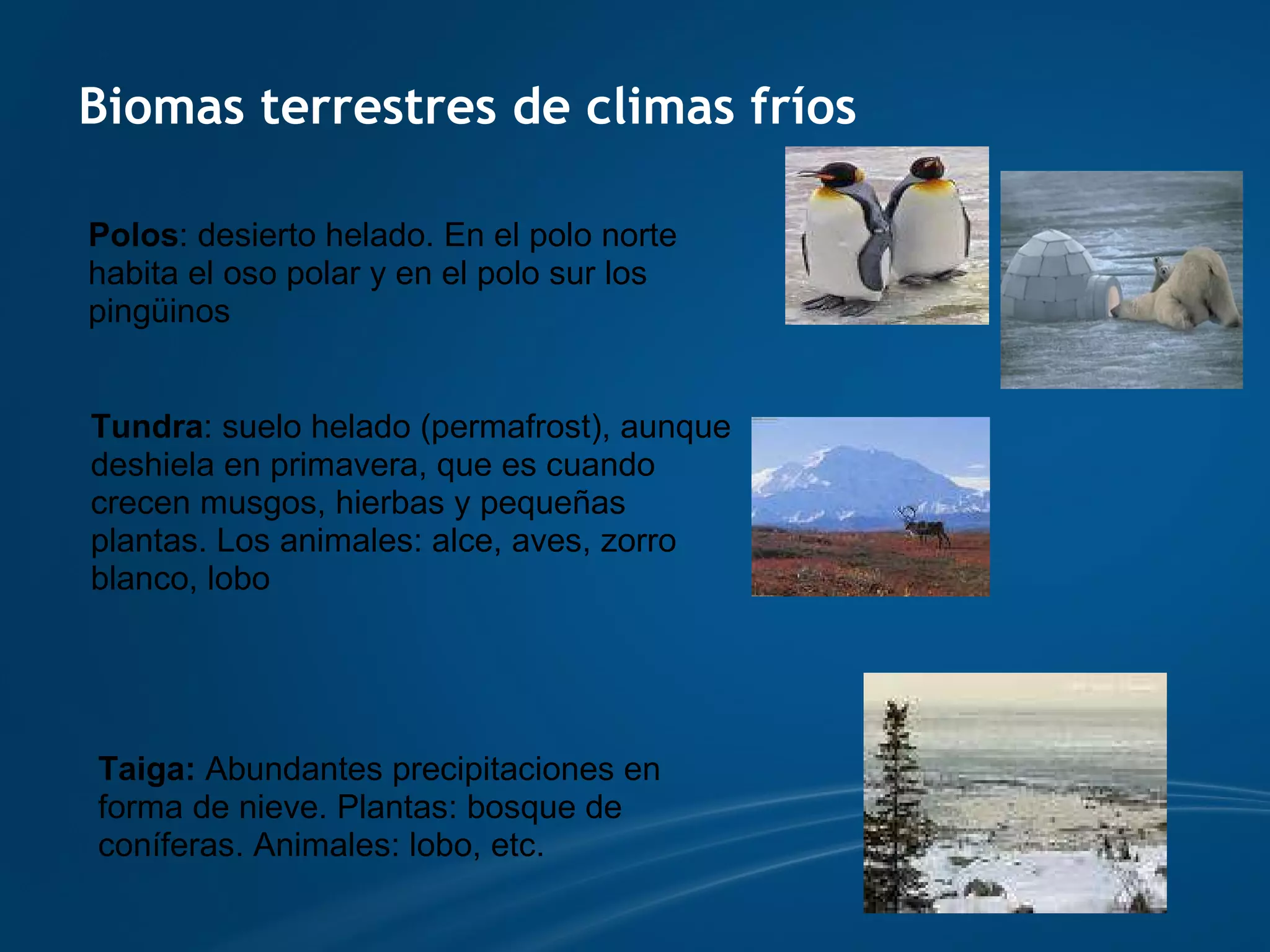 Biomas y Ecosistemas | PPT
