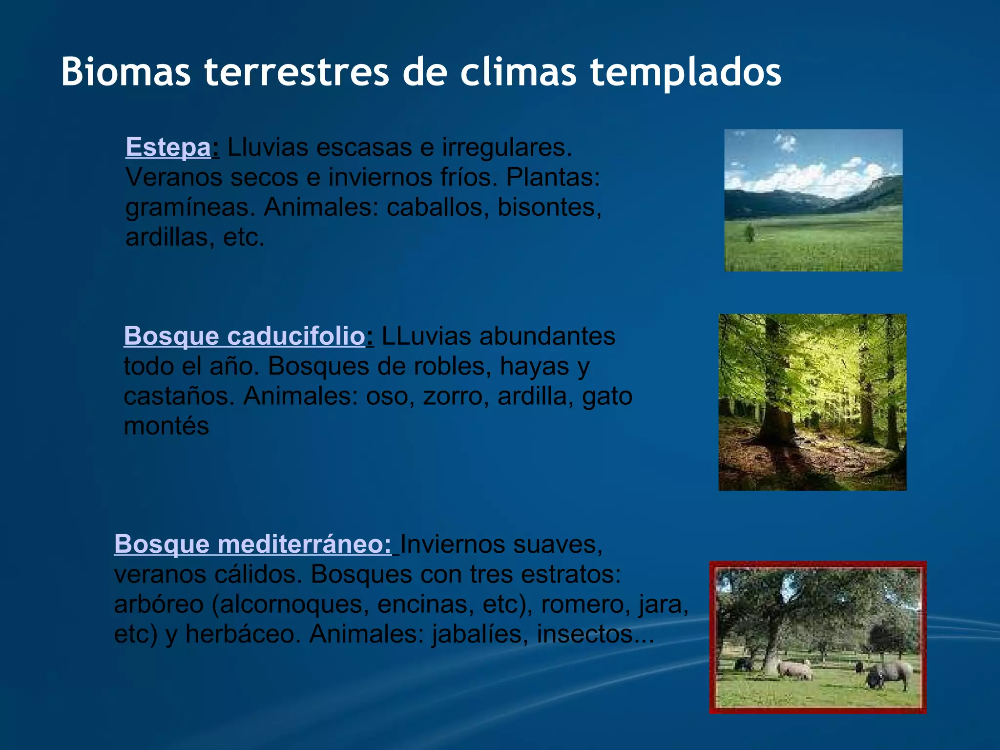 Biomas y Ecosistemas | PPT