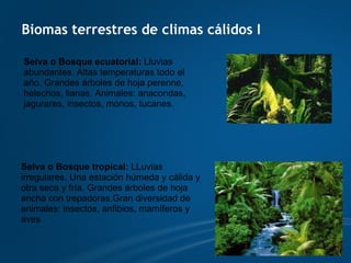 Biomas y Ecosistemas | PPT
