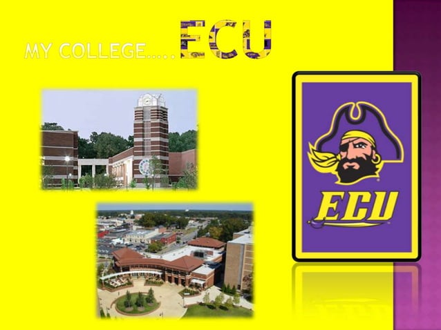 AP Calculus Project #1 | PPT