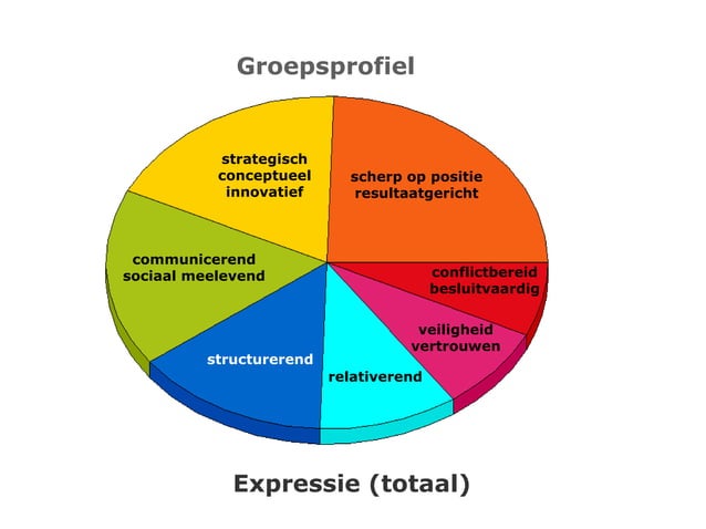profile dynamics brengt organisaties in beweging | PPT