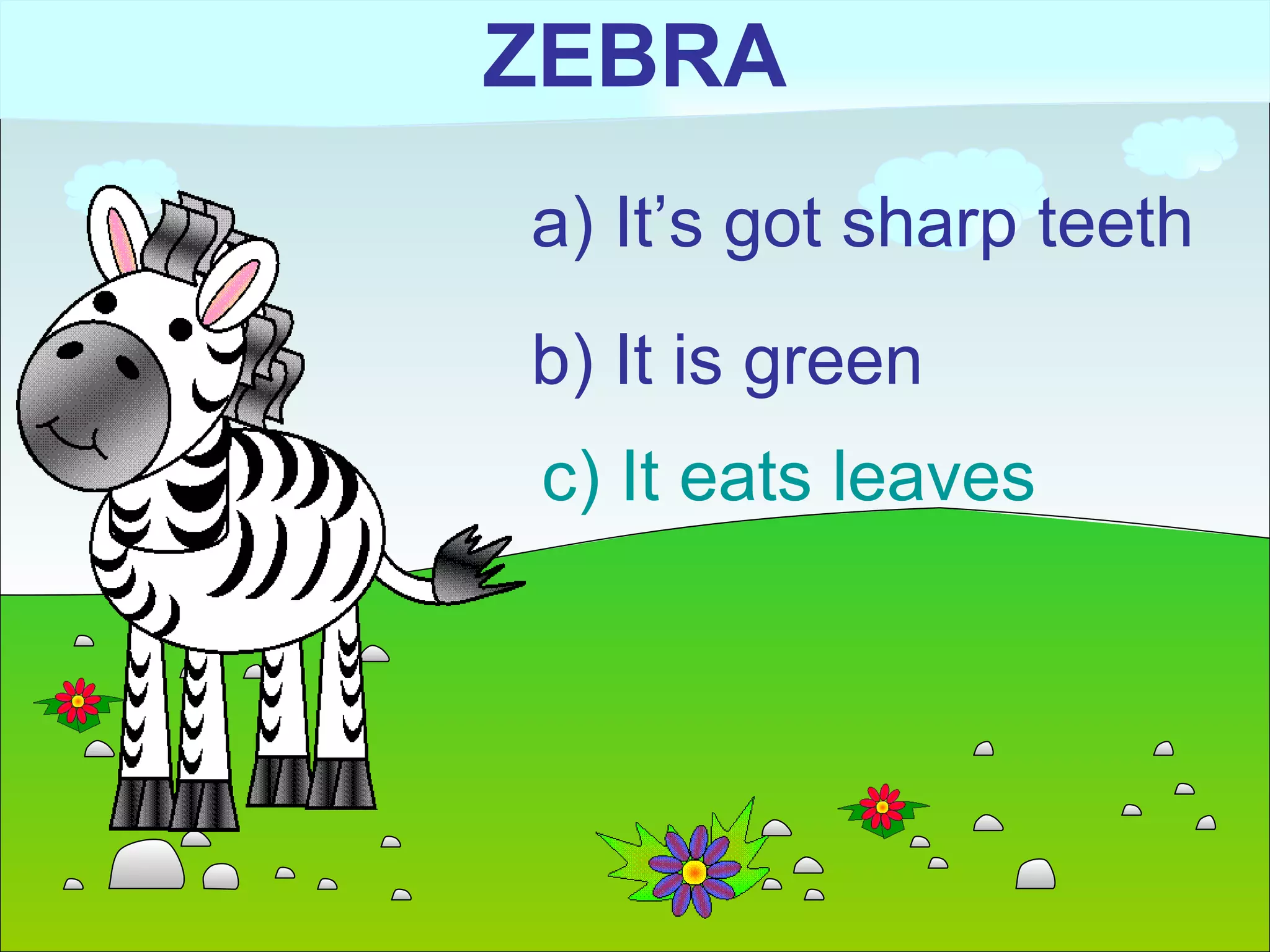 WILD ANIMALS | PPT