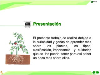 las partes de la planta | PPT
