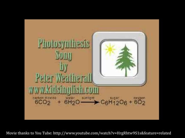 Photosynthesis Presentation | PPTX