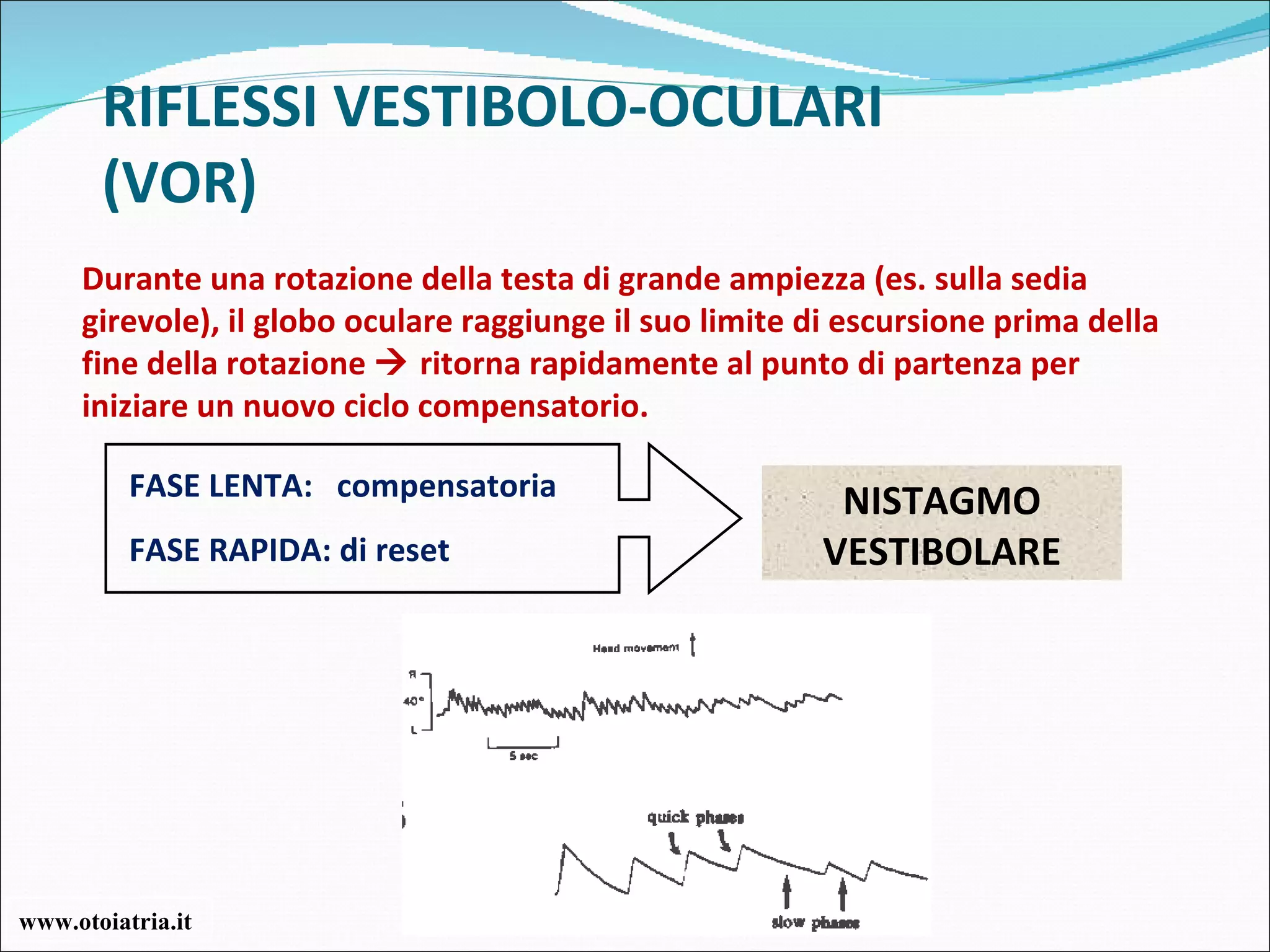 Sistema Vestibolare: anatomia e fisiologia | PPT