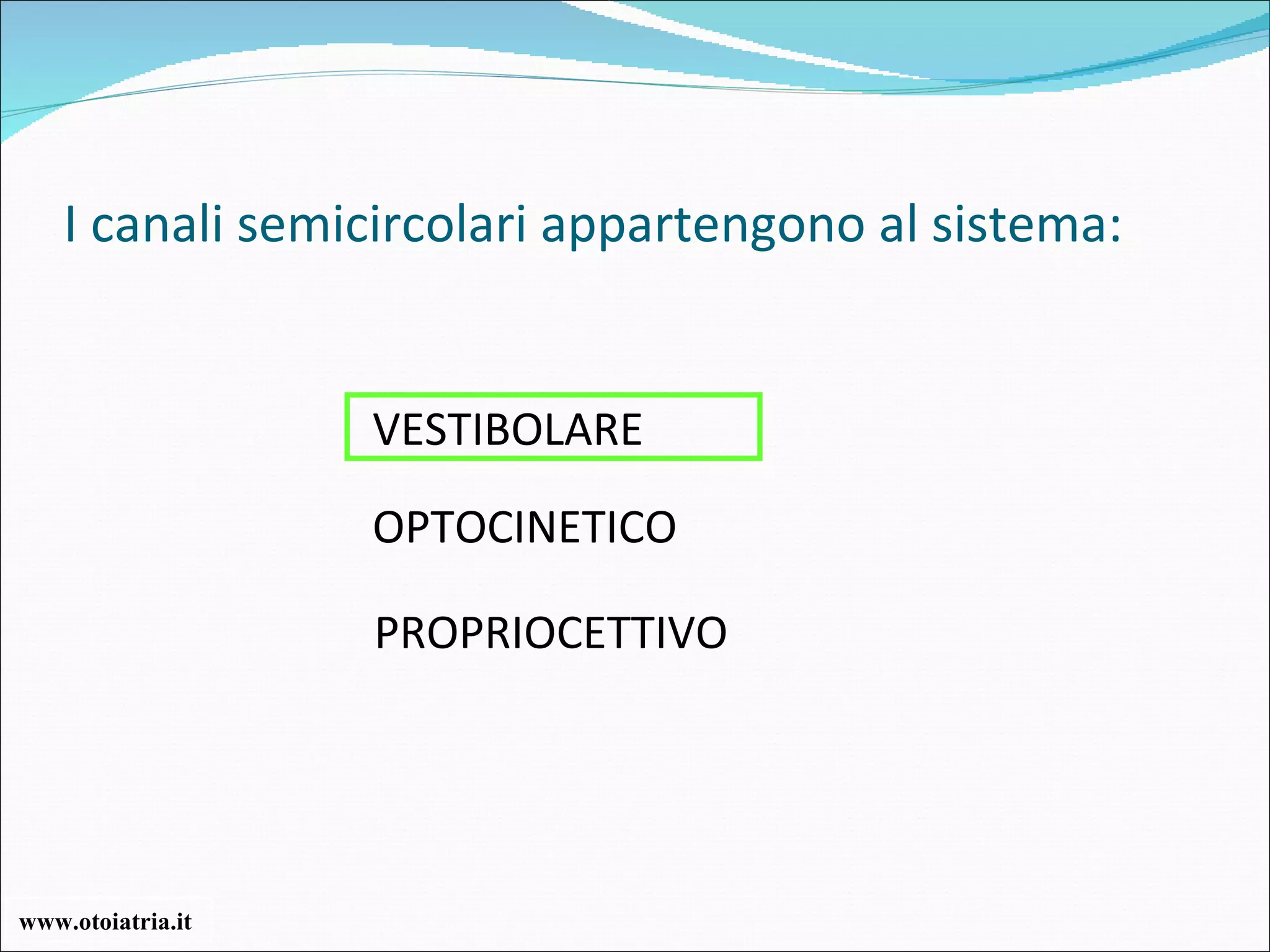 Sistema Vestibolare: anatomia e fisiologia | PPT