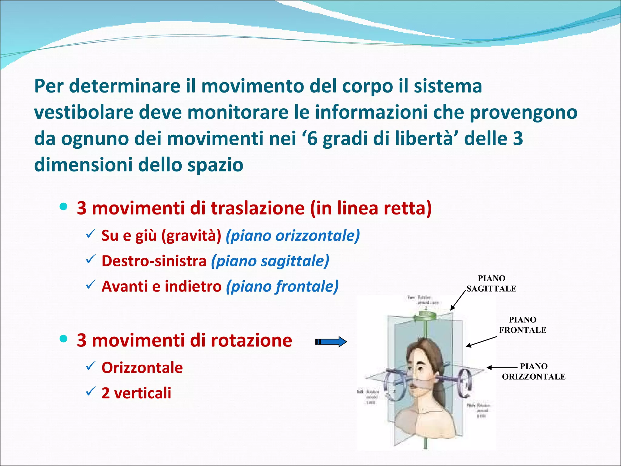 Sistema Vestibolare: anatomia e fisiologia | PPT