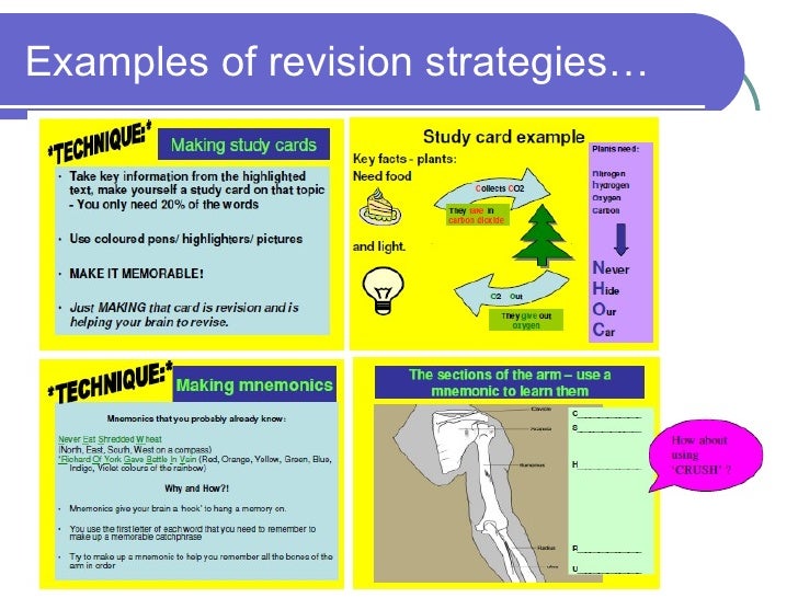 parent revision guide