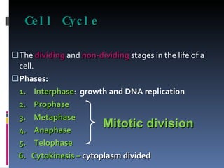 cell division - mitosis | PPT