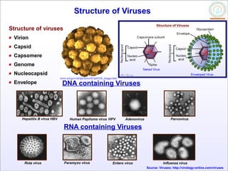 Virus and Cancer | PDF