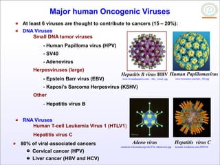 Virus and Cancer | PDF