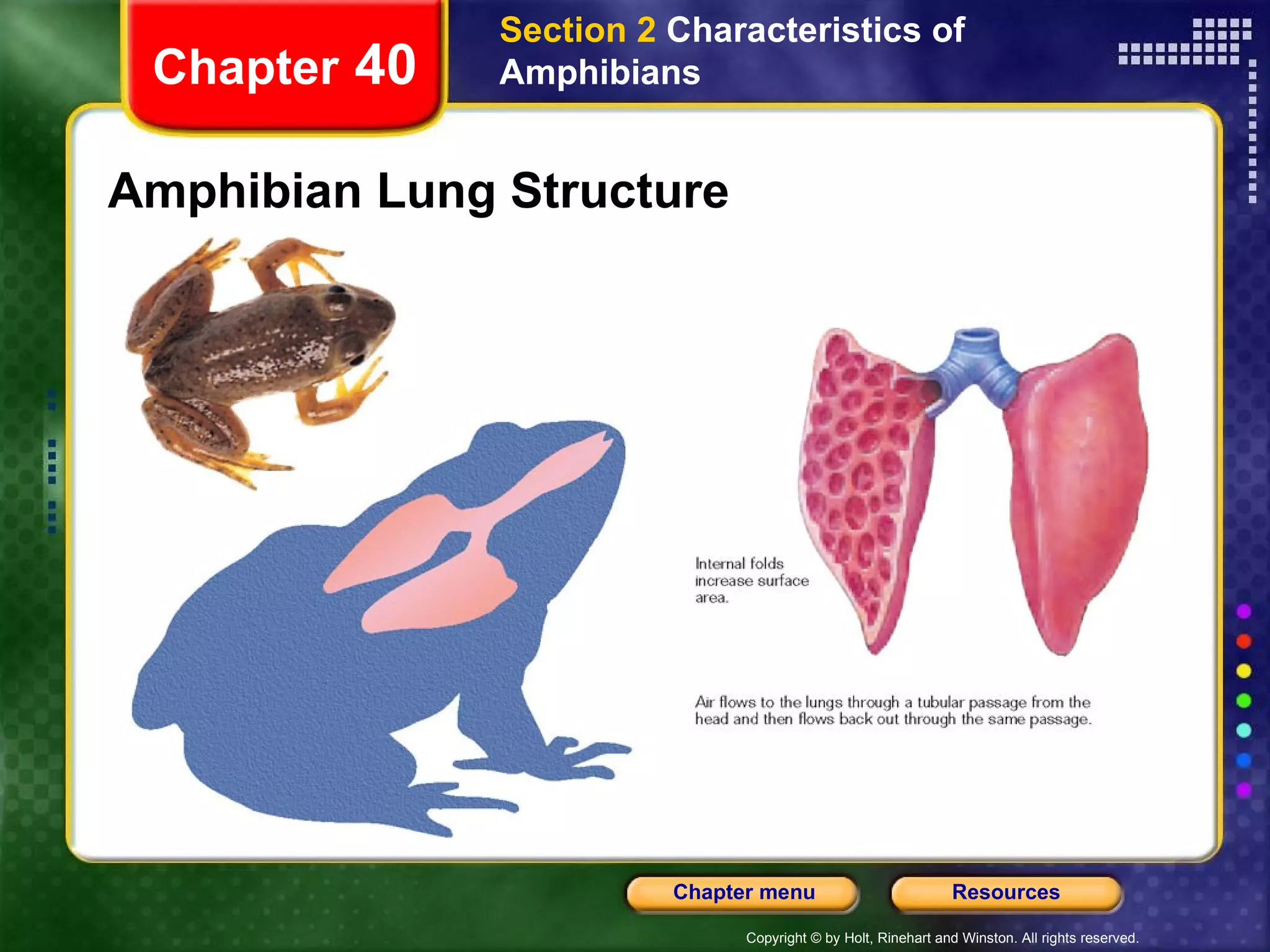 Biology - Amphibians | PPT
