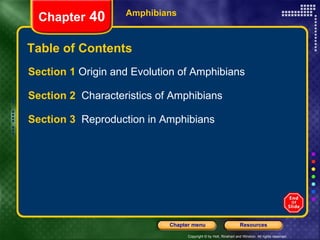 Biology - Amphibians | PPT