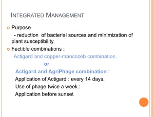 C:\Users\Joubert\Desktop\Rlo Copy | PPTX