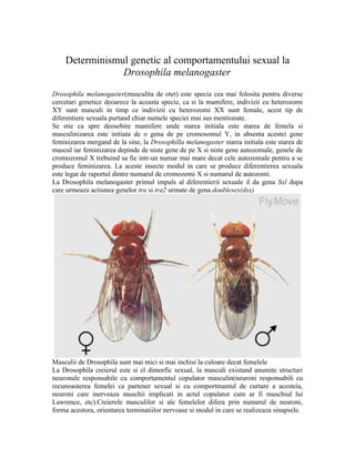 Determinismul genetic al comportamentului sexual la drosophila ...