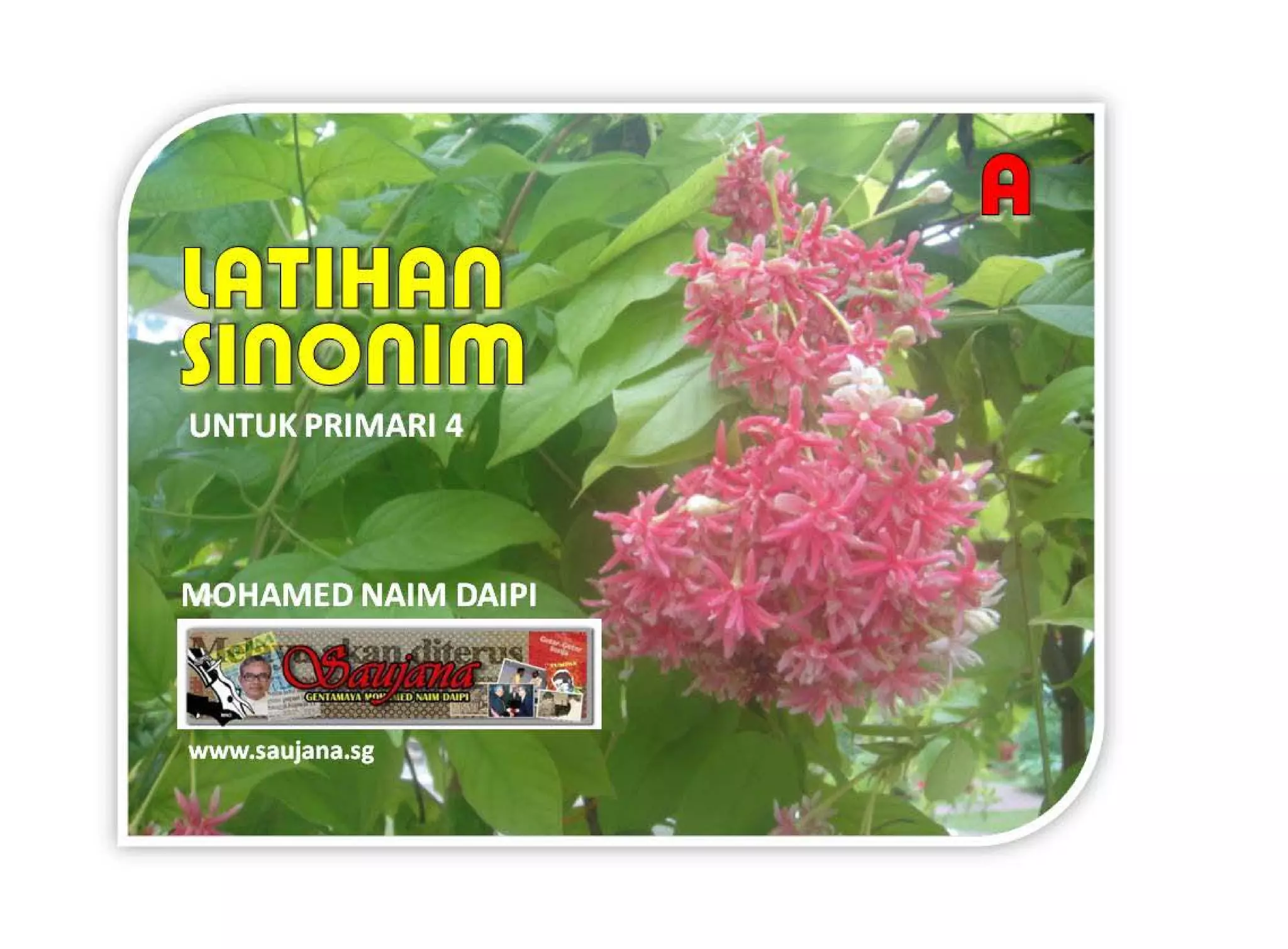 Latihan Perkataan Seerti untuk P4 | PDF