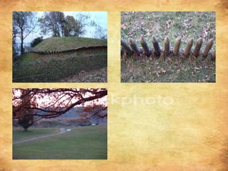 Overview of Revolution | PPT