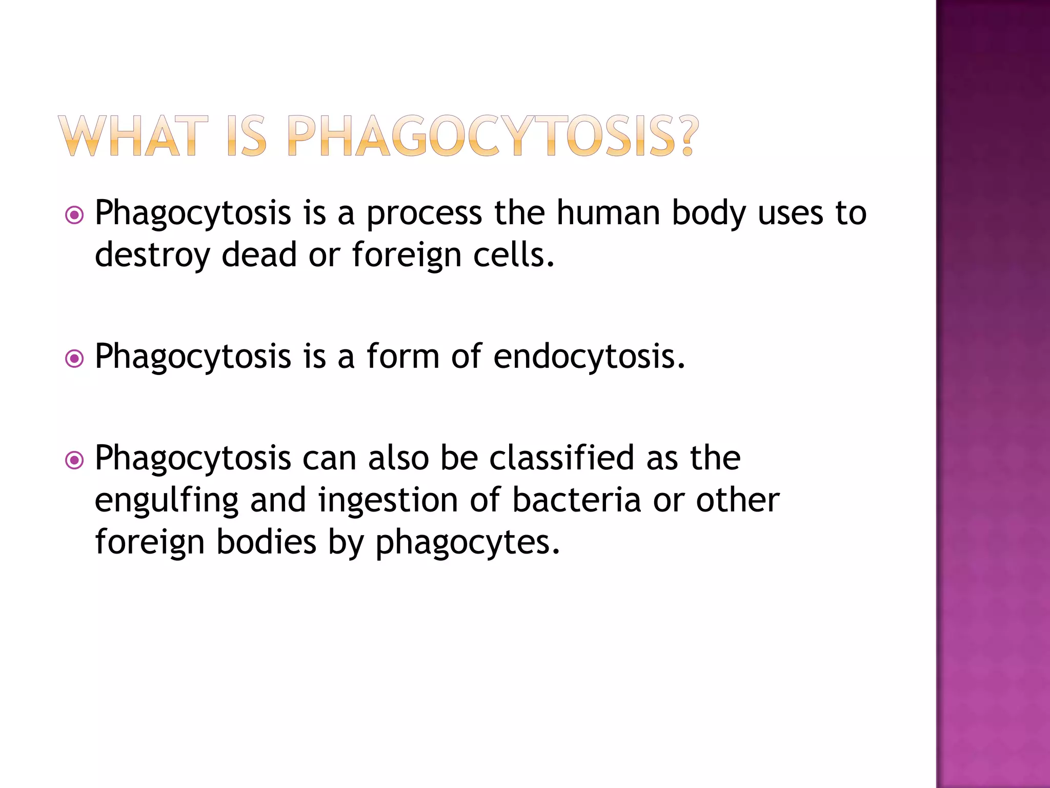 Chapter 6 Presentation | PPTX