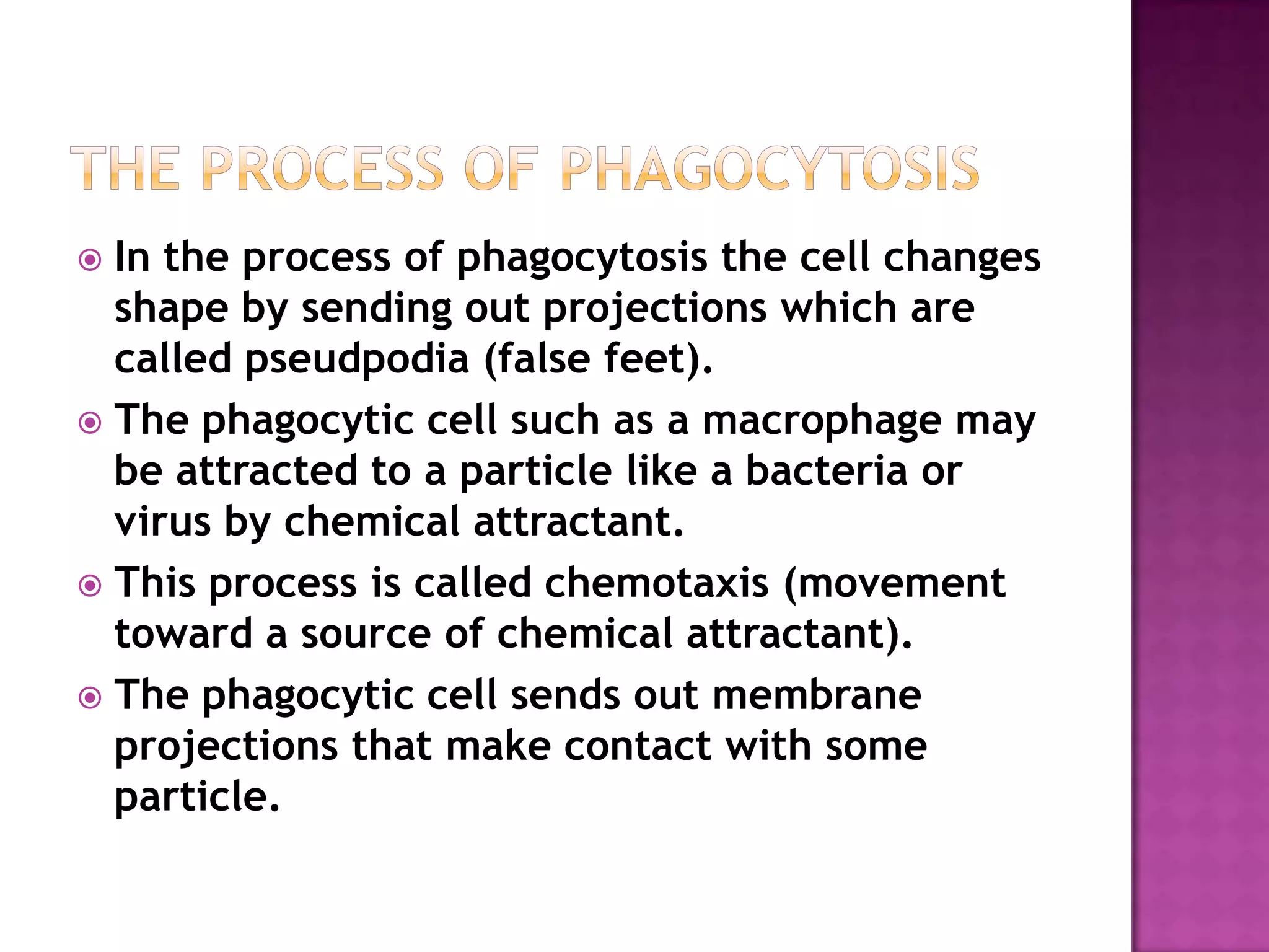 Chapter 6 Presentation | PPTX