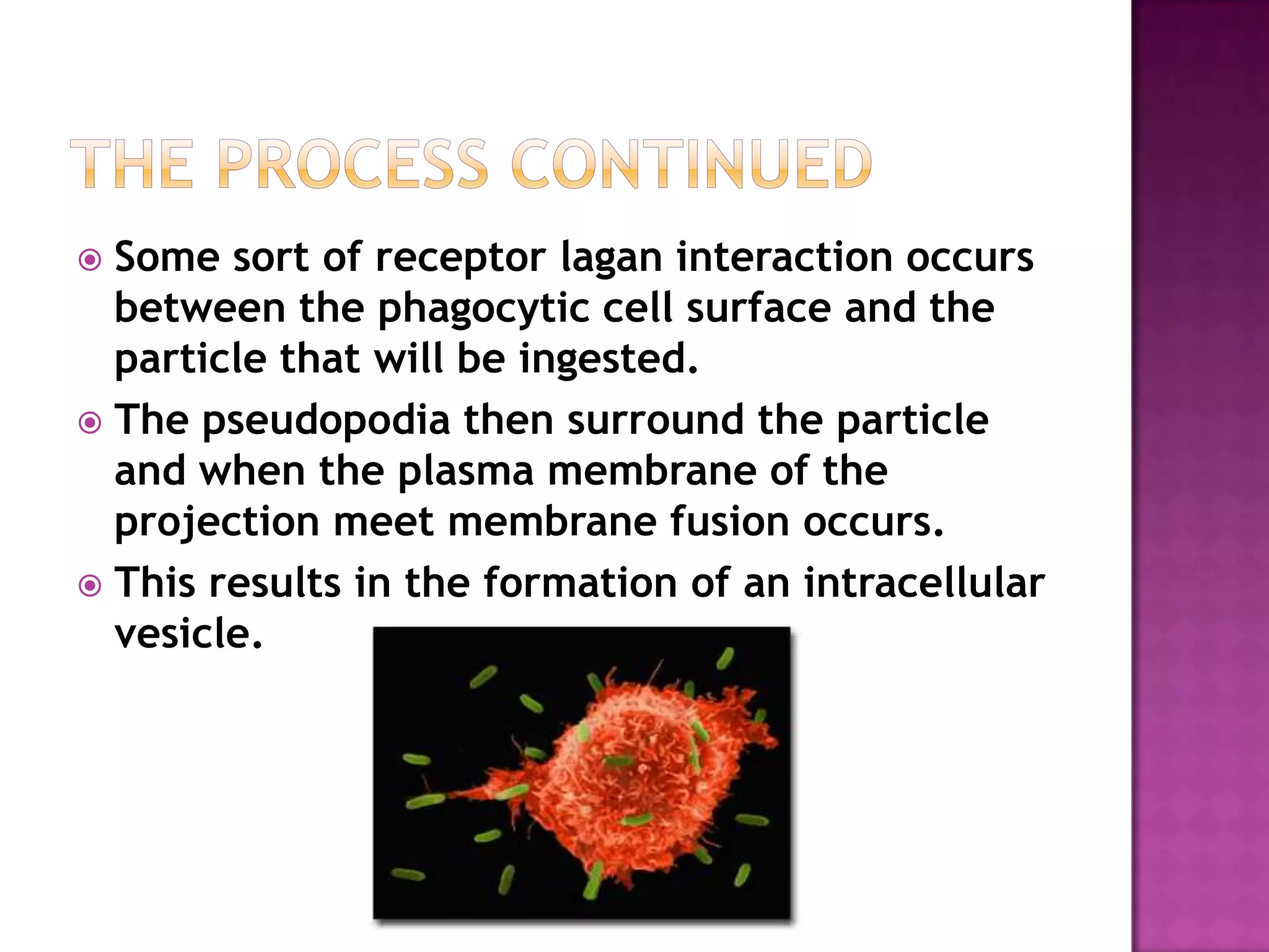 Chapter 6 Presentation | PPTX