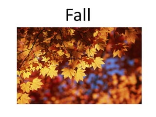 Seasons by April Murphy | PDF