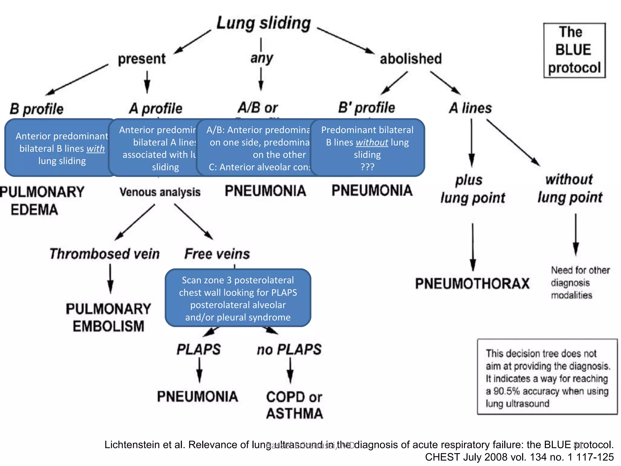 Ultrasonography Fundamentals In Critical Care: Lung Ultrasound, Pleural ...