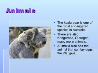 Australian Power Point | PPT